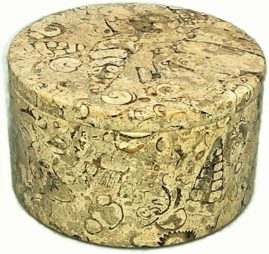 Amazon.com: Khan Imports Small Fossil Stone Urn for Ashes, Decorative ...