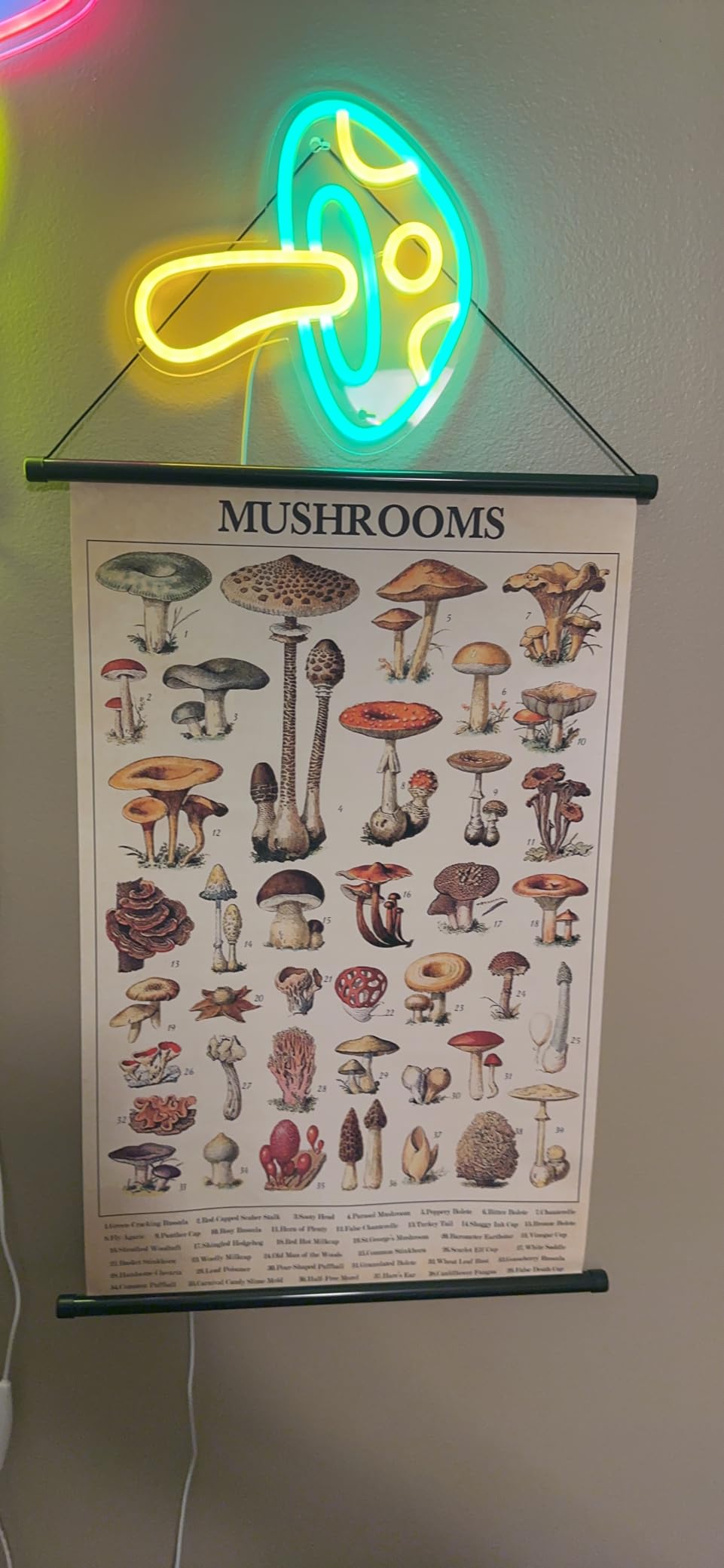 $2/mo - Finance Geyee Vintage Mushroom Poster Fungus Wall Art Prints ...