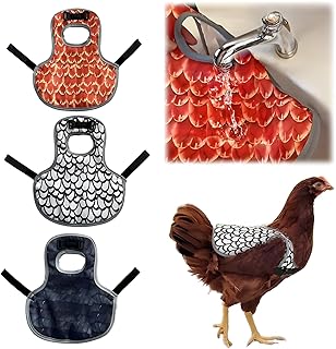 Understanding Feather Loss In Chickens: Causes And Solutions | CyChicken