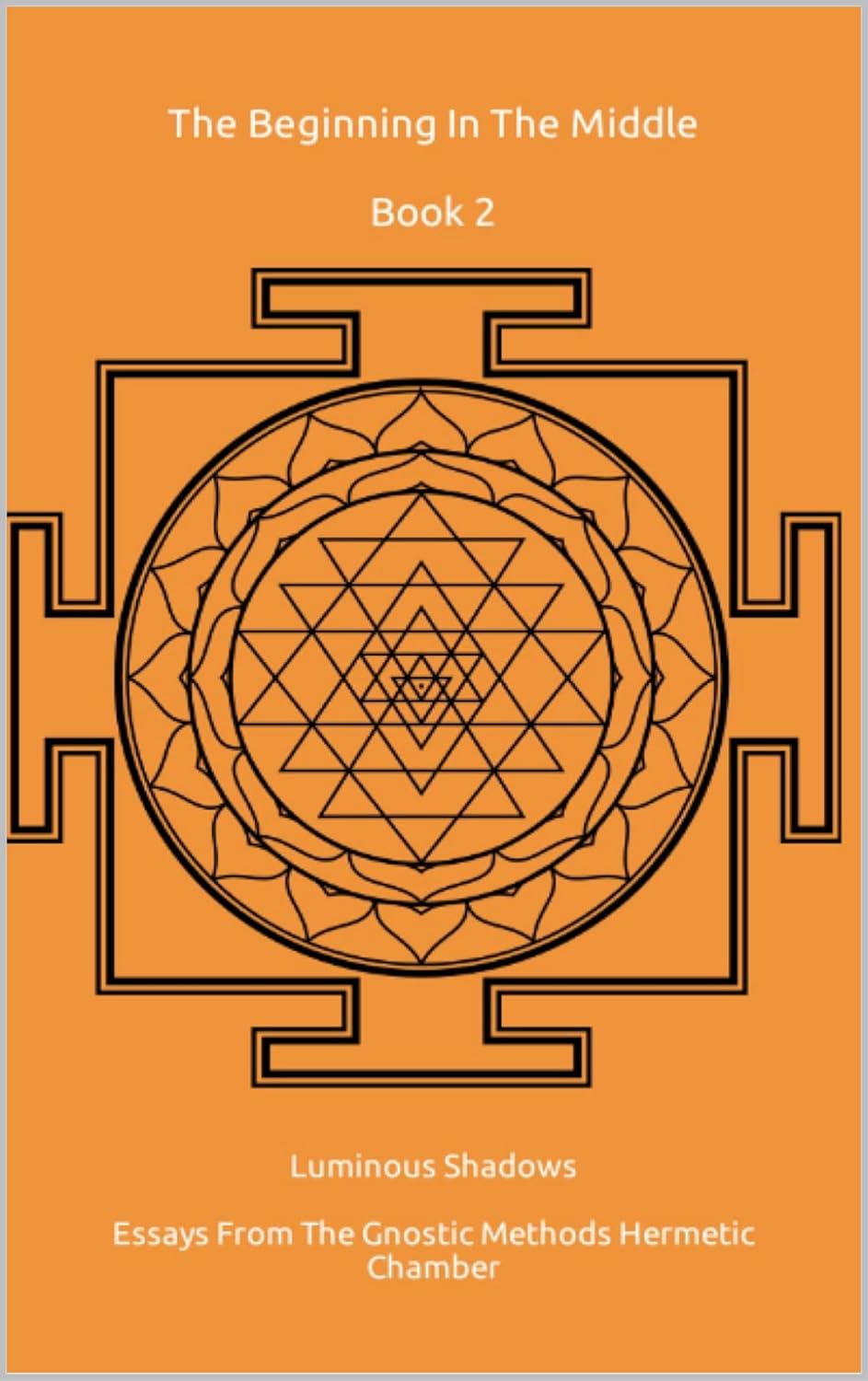 The Beginning In The Middle Book 2: Luminous Shadows - Essays from the ...