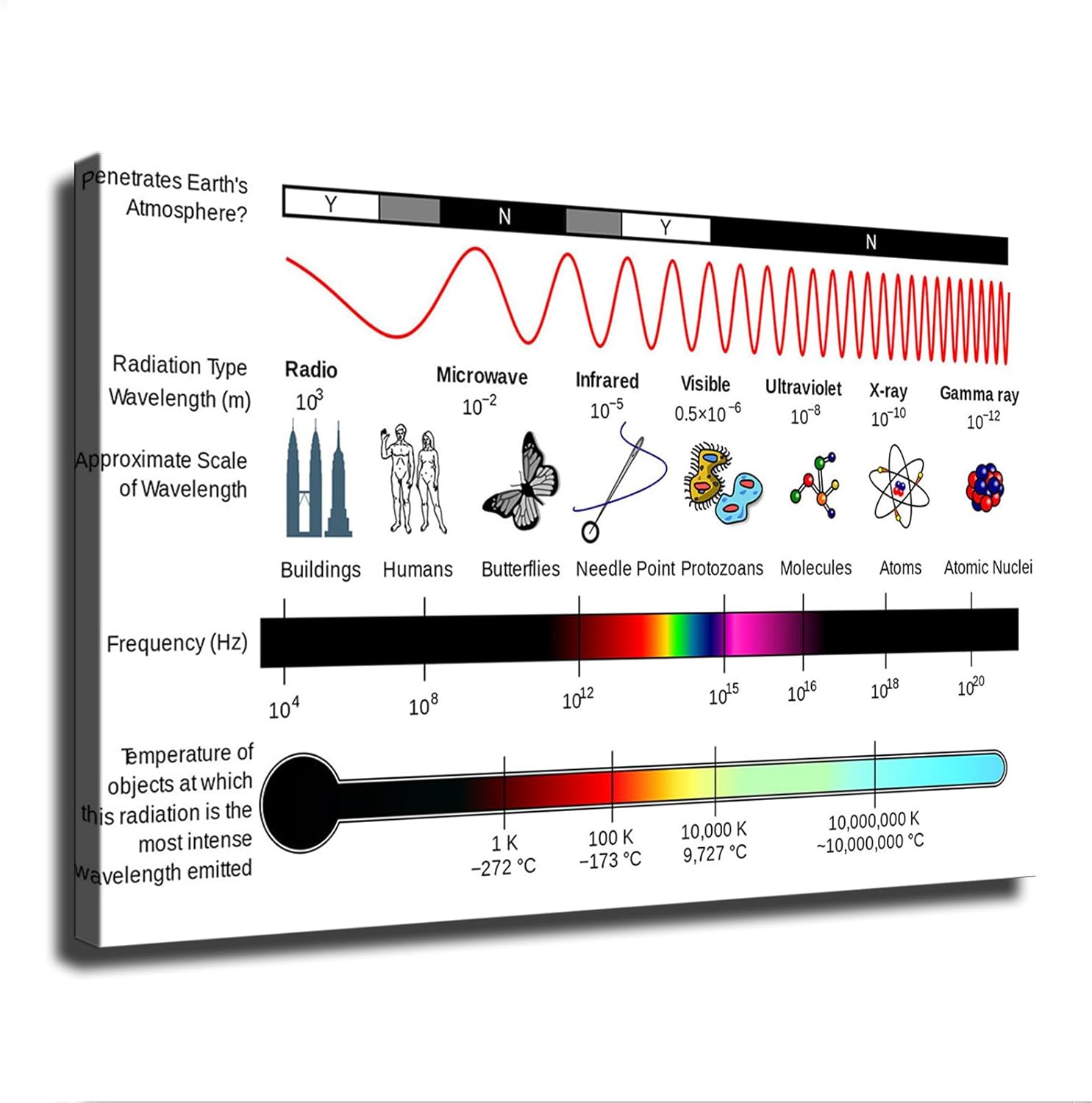 Amazon.com: The Electromagnetic Spectrum Wall Art Posters Pictures for ...