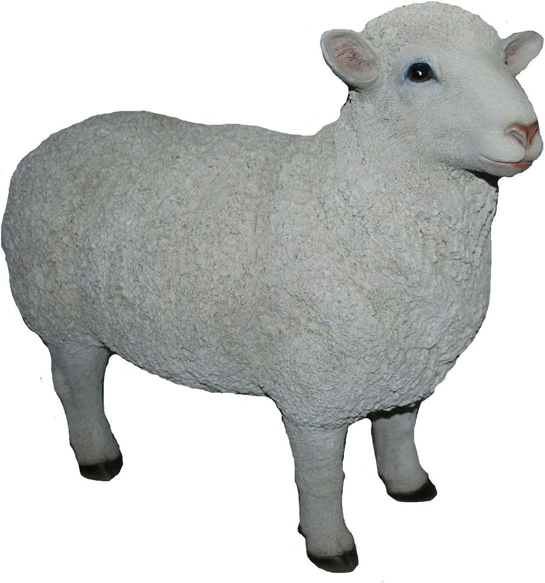 Amazon.com : Hi-Line Gift Ltd Ewe Sheep Statue, 24" : Patio, Lawn & Garden