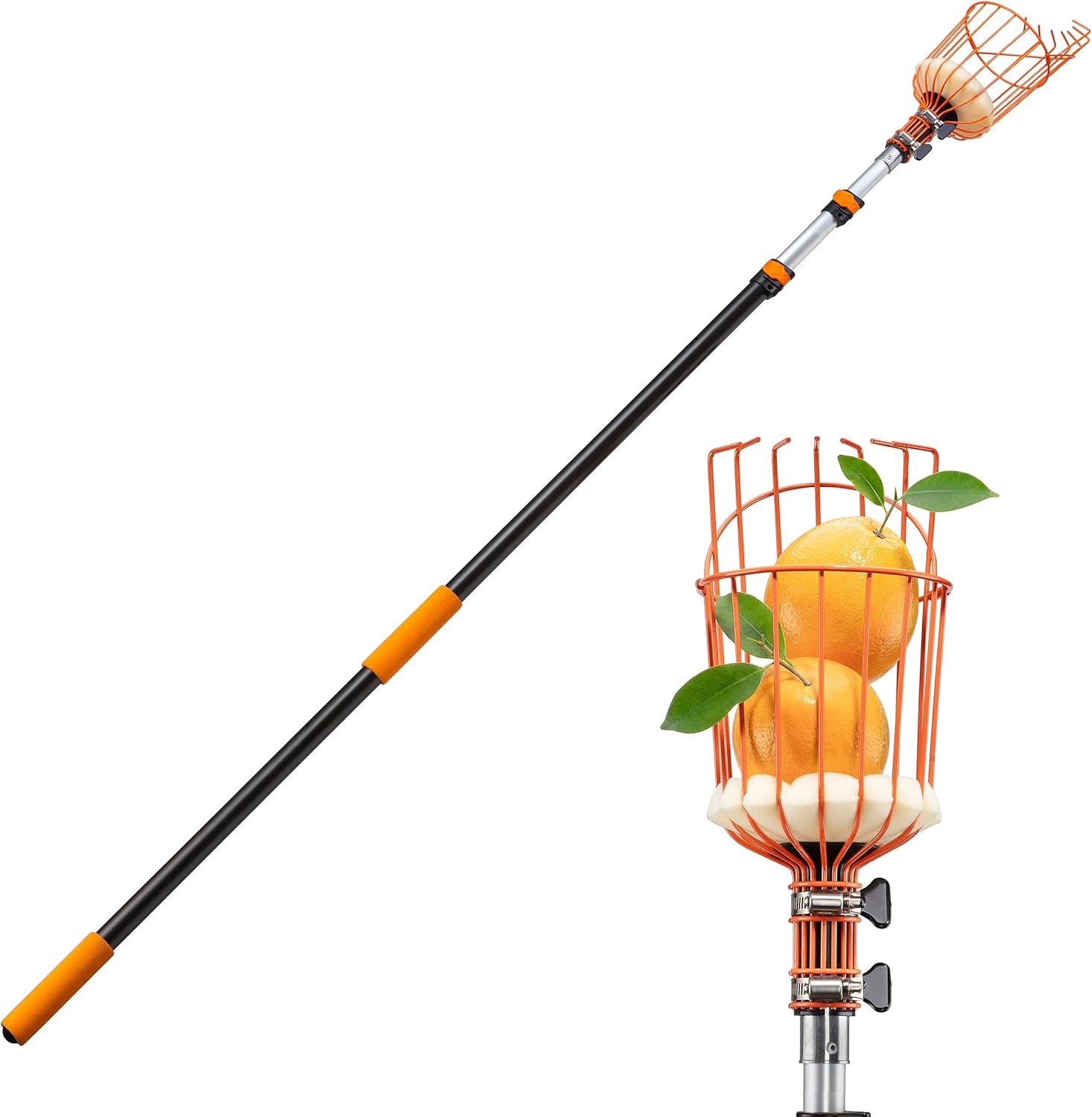 Fruit Picker Pole with Basket Telescoping 5-12 ft Apple Picker ...