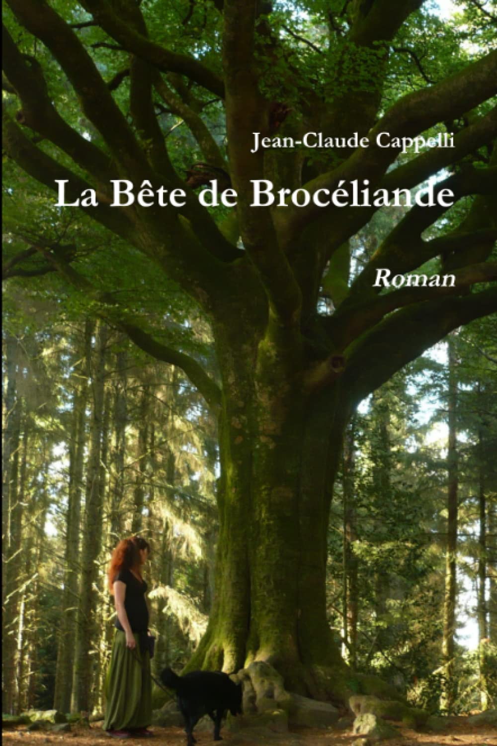 Amazon.com: La Bête de Brocéliande (French Edition): 9781291351392 ...