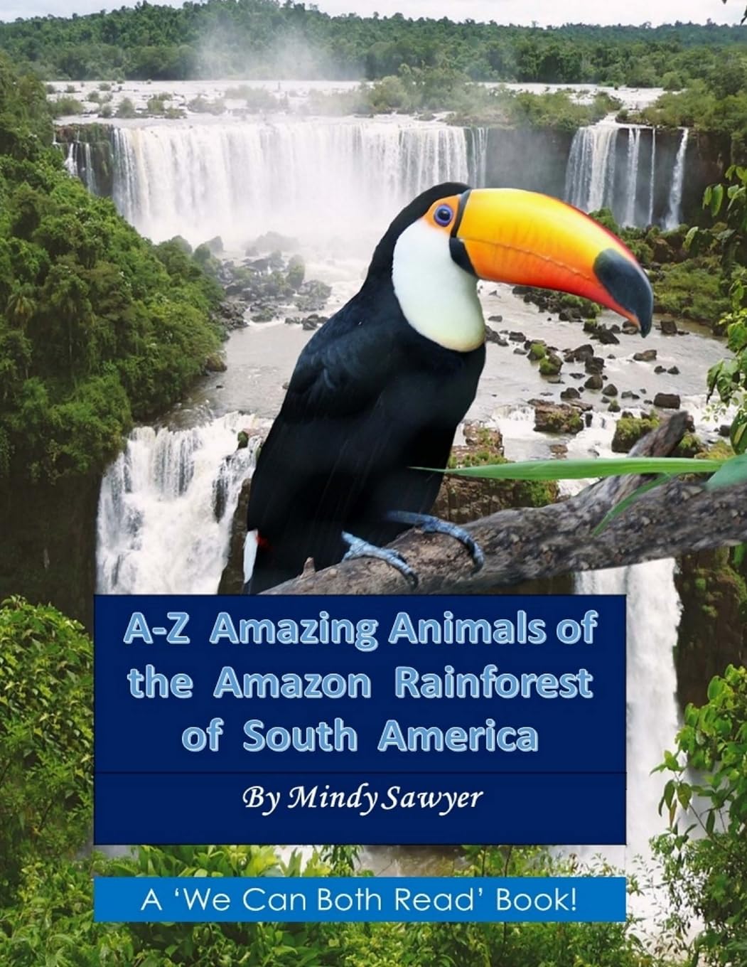 Amazon Rainforest Fun Facts Amazon Rainforest Facts For Kids