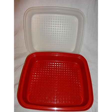 Amazon.com: Tupperware RED Large Season Serve Meat Marinade Storage ...