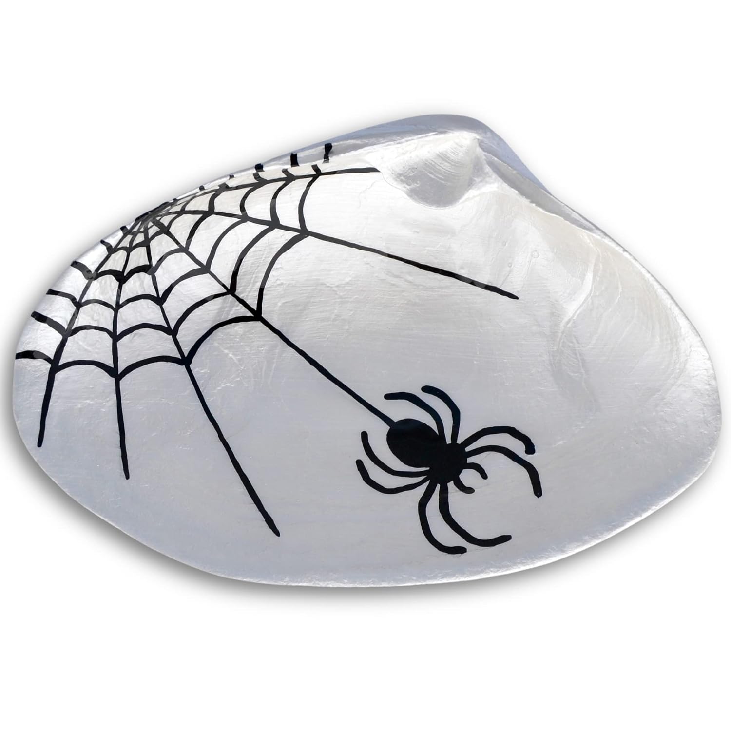 Amazon.com: Spider Shell Dish - Spoon Rest, Ring Dish, Jewelry Holder ...