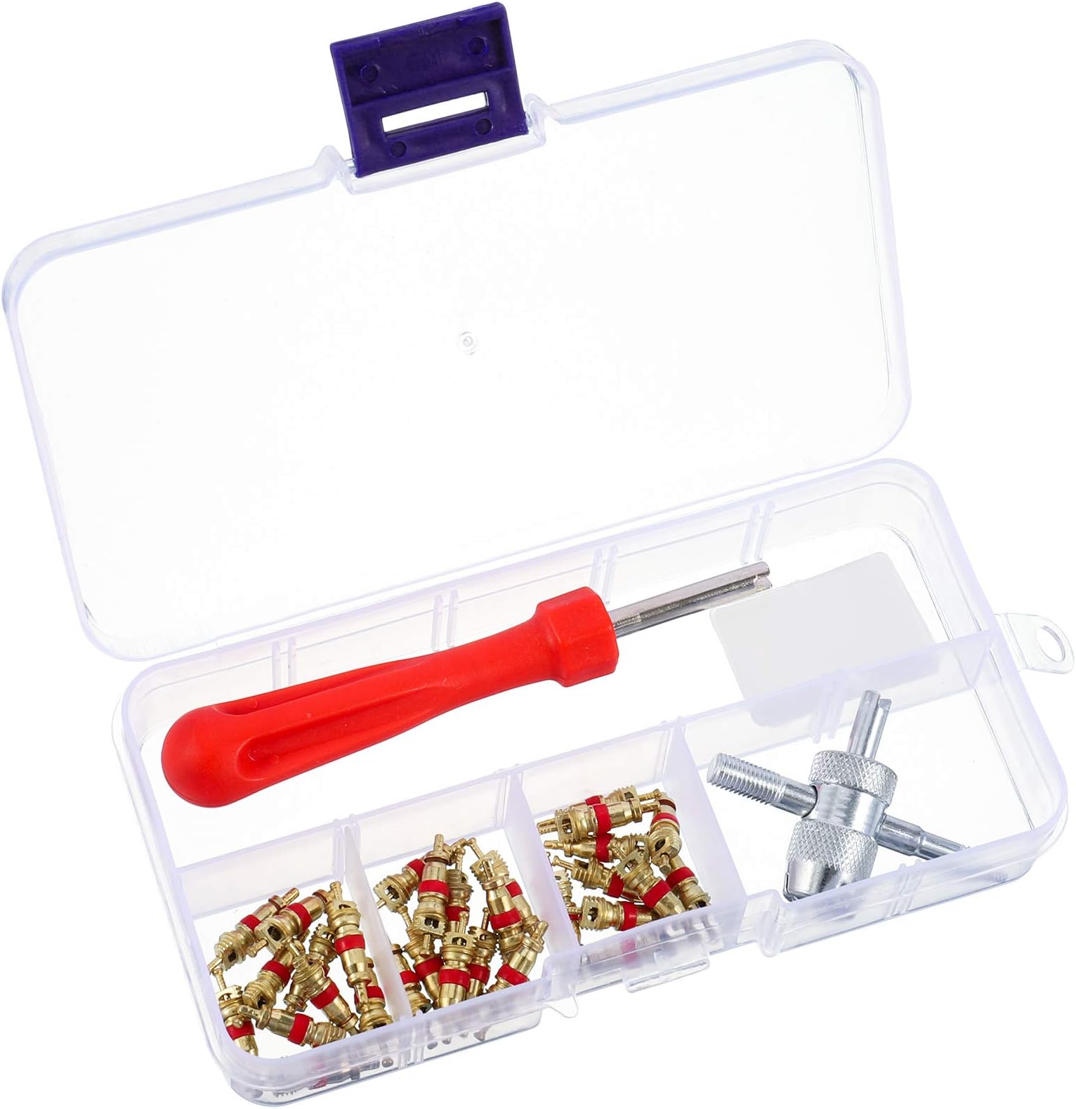 Swpeet 40Pcs Tire Valve Stem Puller Tools Set with Snap-in Valve Stems ...