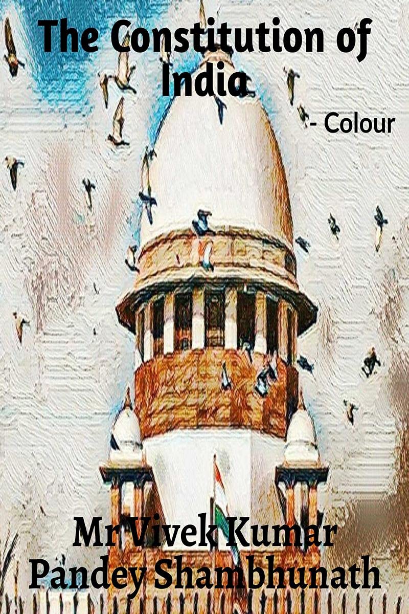 Buy The Constitution of India Colour Book Online at Low Prices in India ...