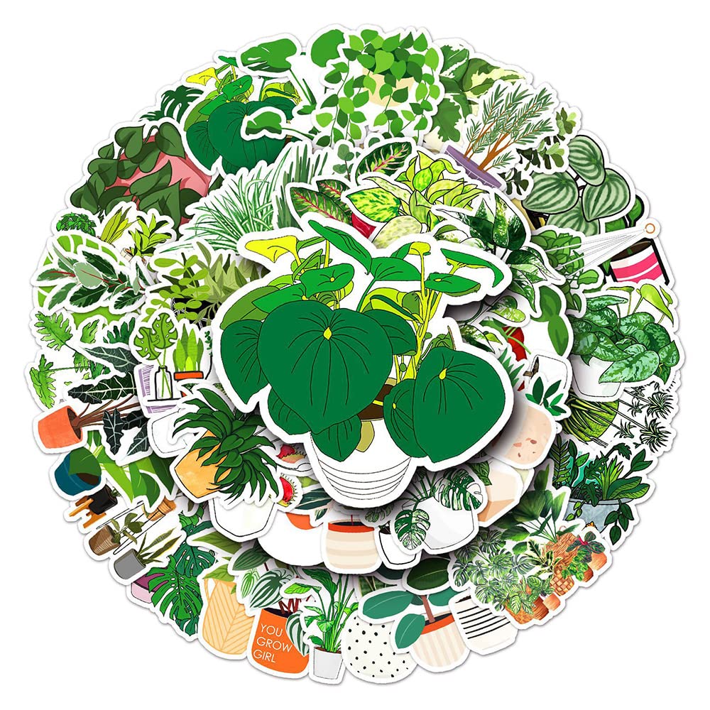 Amazon.com: Green Plant Stickers Pack for Teens Boys Girls Kids|50 Pcs ...