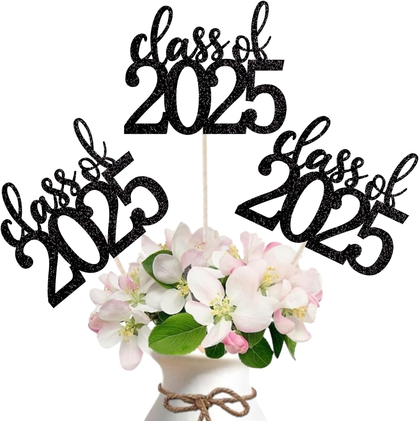 Amazon.com: ALISSAR 12 Pack Pre-assembled Double Sided Class of 2025 ...