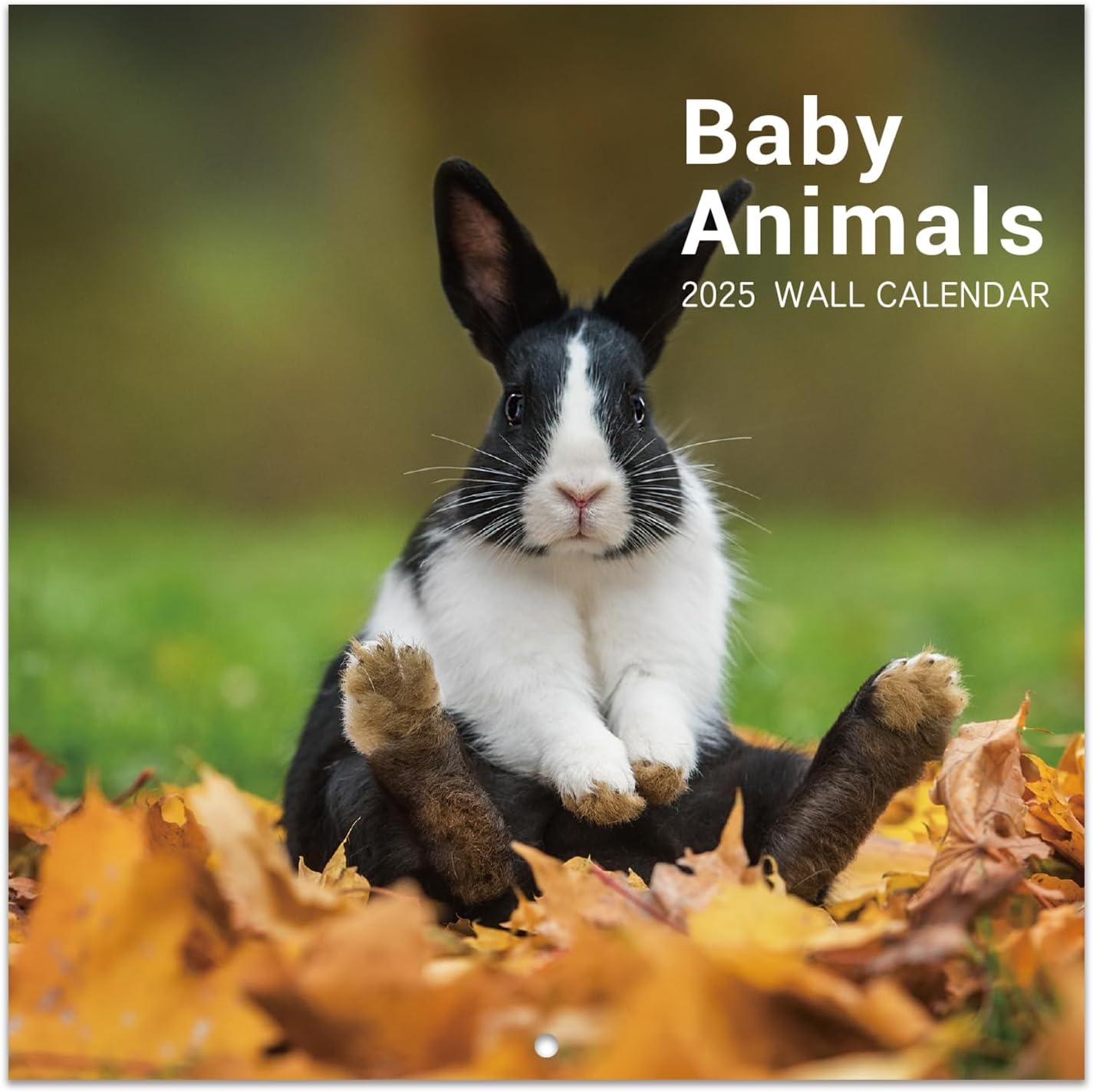 Amazon.com : 2025 Baby Animals Wall Calendar, 12X12, Avonside ...