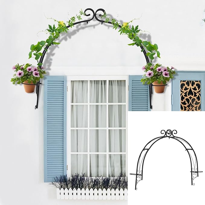 Amazon.com : JSUN7 Wall Mounted Rose Arches, Semi-Circular Decoration ...