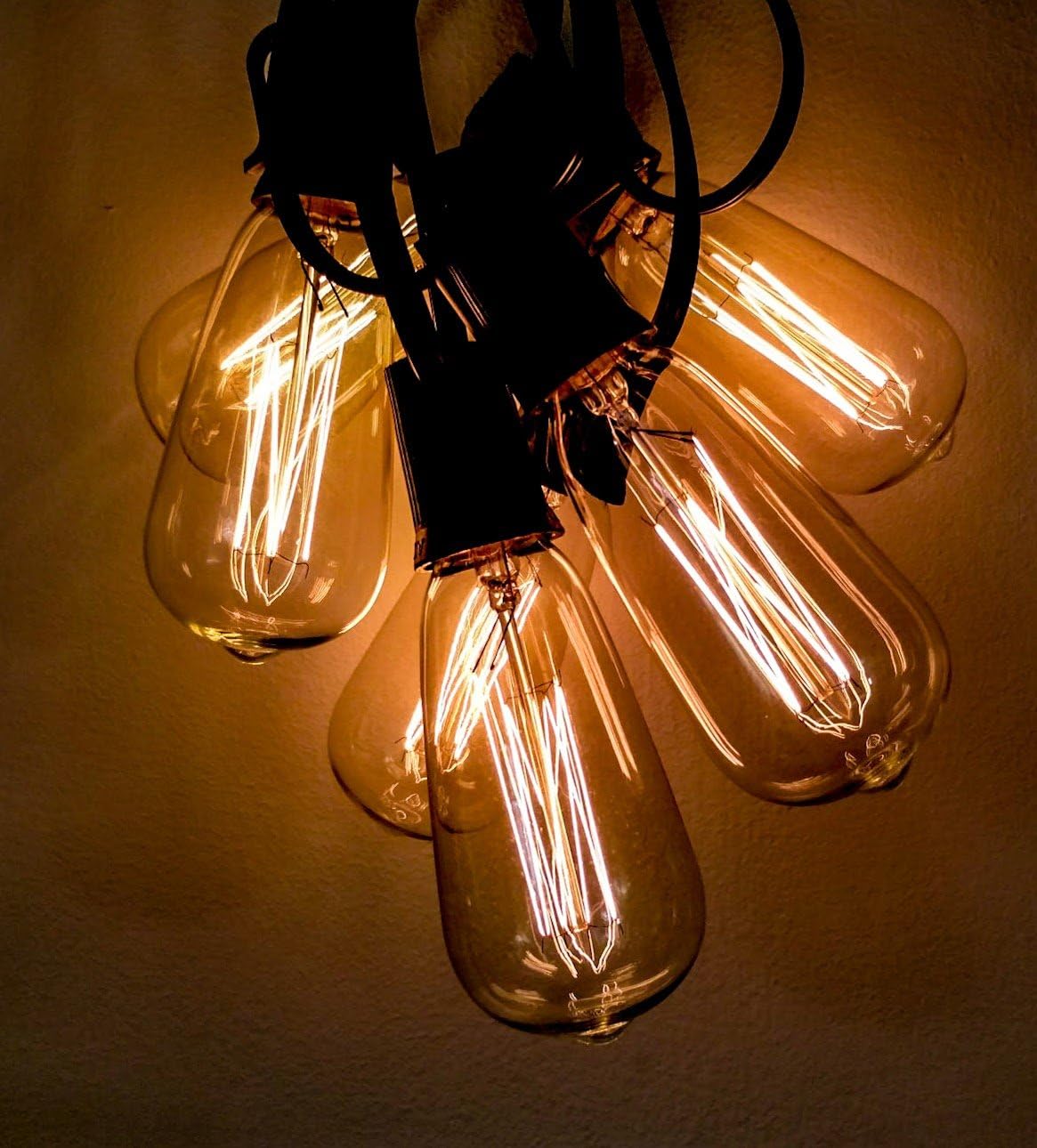 Hometown Evolution, Inc. Edison Bulb Outdoor String Lights with Hand ...