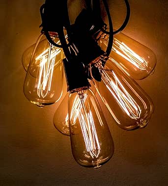 Hometown Evolution, Inc. Edison Bulb Outdoor String Lights with Hand ...