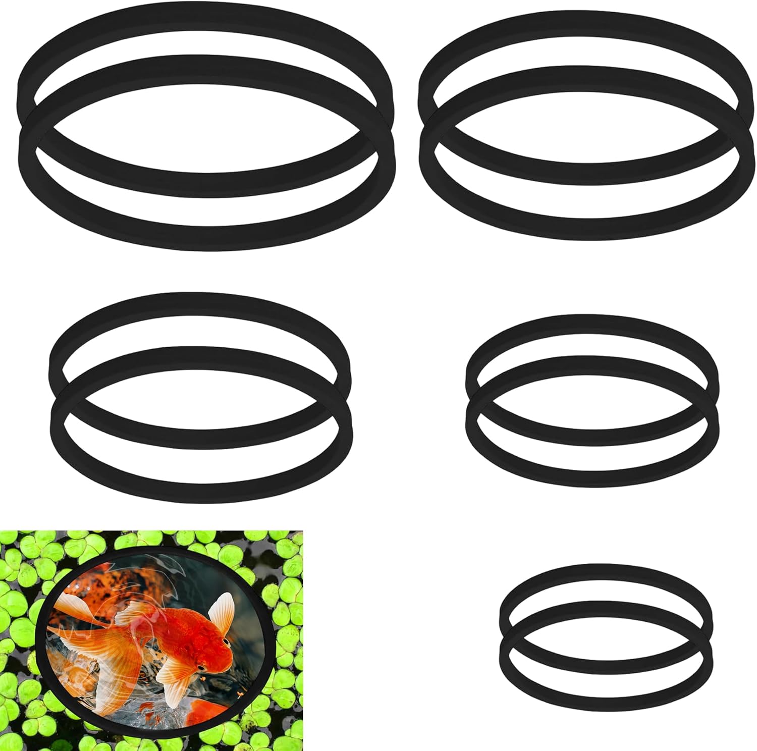 Amazon.com : 10 Pcs Aquarium Floating Plant Rings, 5 Sizes Betta ...