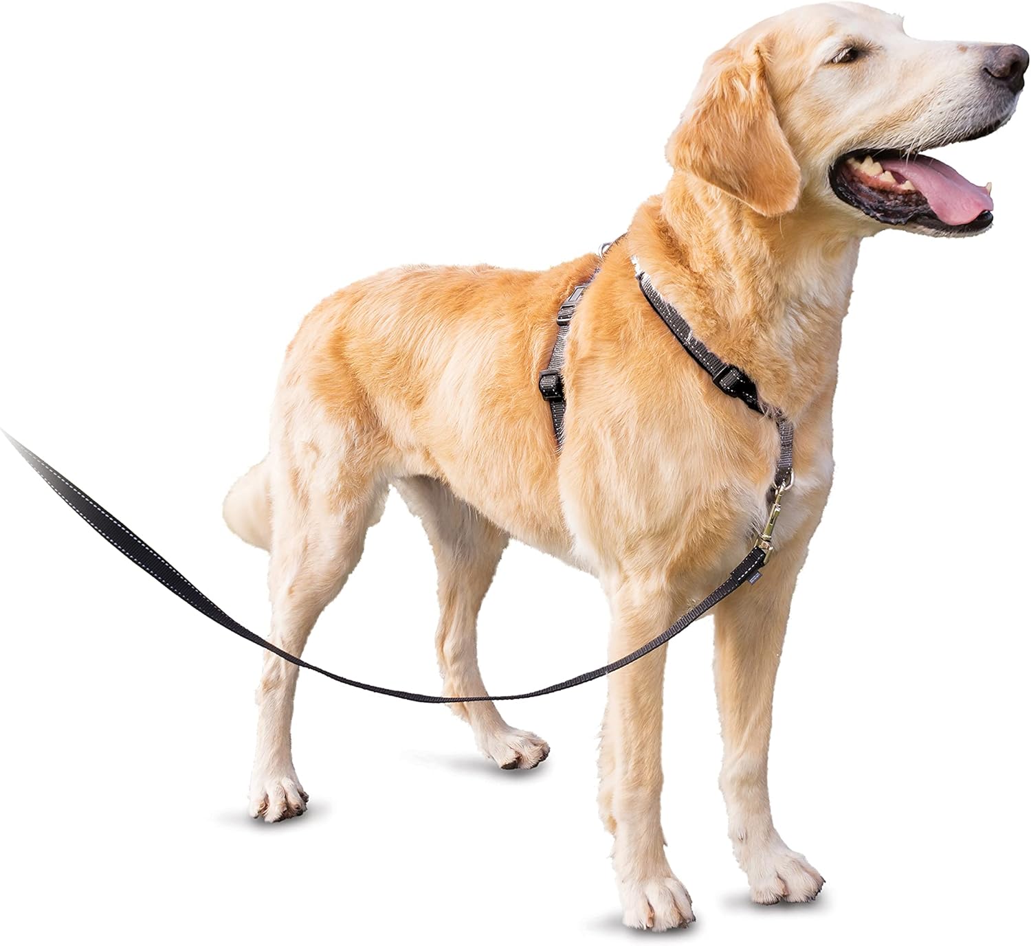 Amazon.com : PetSafe 3 in 1 Dog Harness - No Pull Solution for Dogs ...
