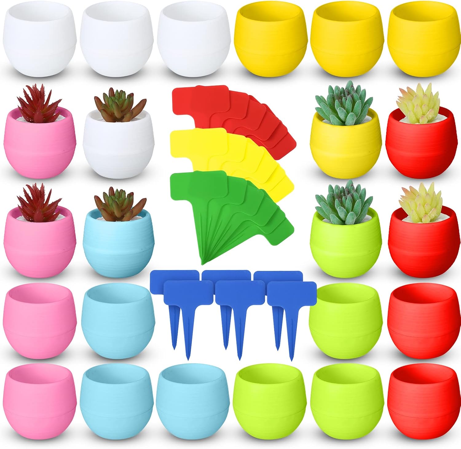 Amazon.com : Rtteri 24 Pcs Small Succulent Pots 2.75 Inch Plastic Plant ...