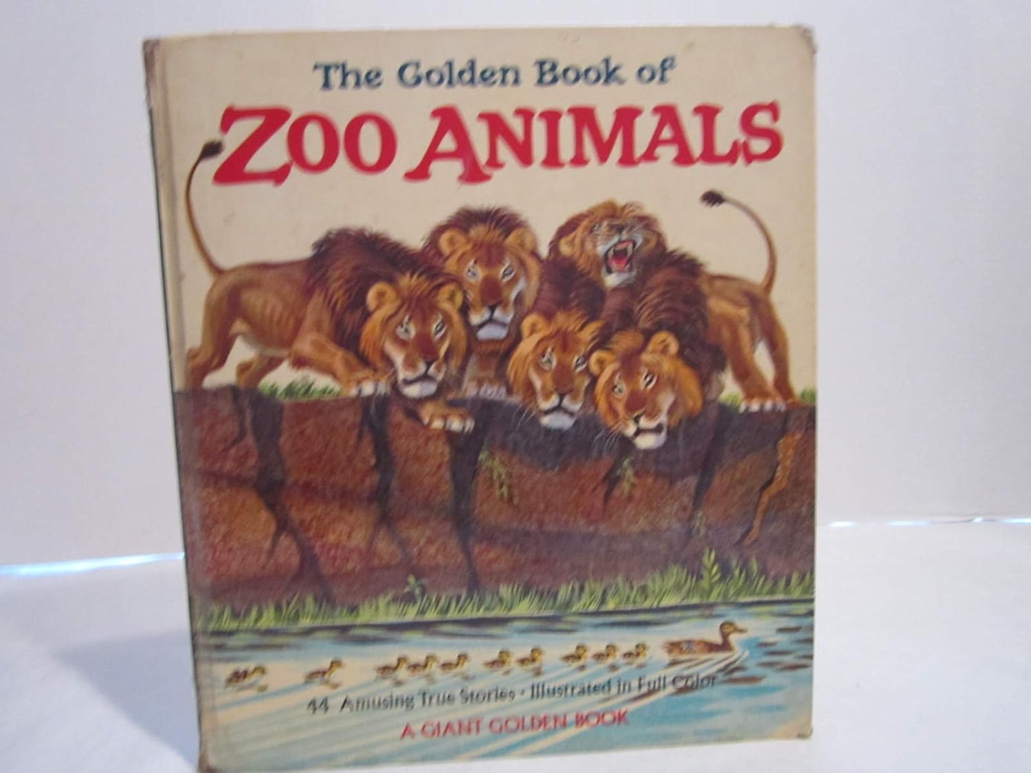 Amazon.com: the golden book of zoo animals: 9781122508148: bridges ...