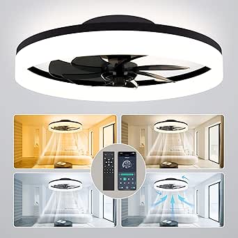 Ceiling Fans with Lights, 20'' Ceiling Fans with Lights and Remote, Low ...