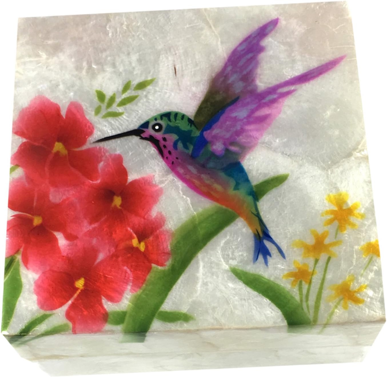 Amazon.com: Kubla Craft Hummingbird with Flowers Capiz Shell Keepsake ...