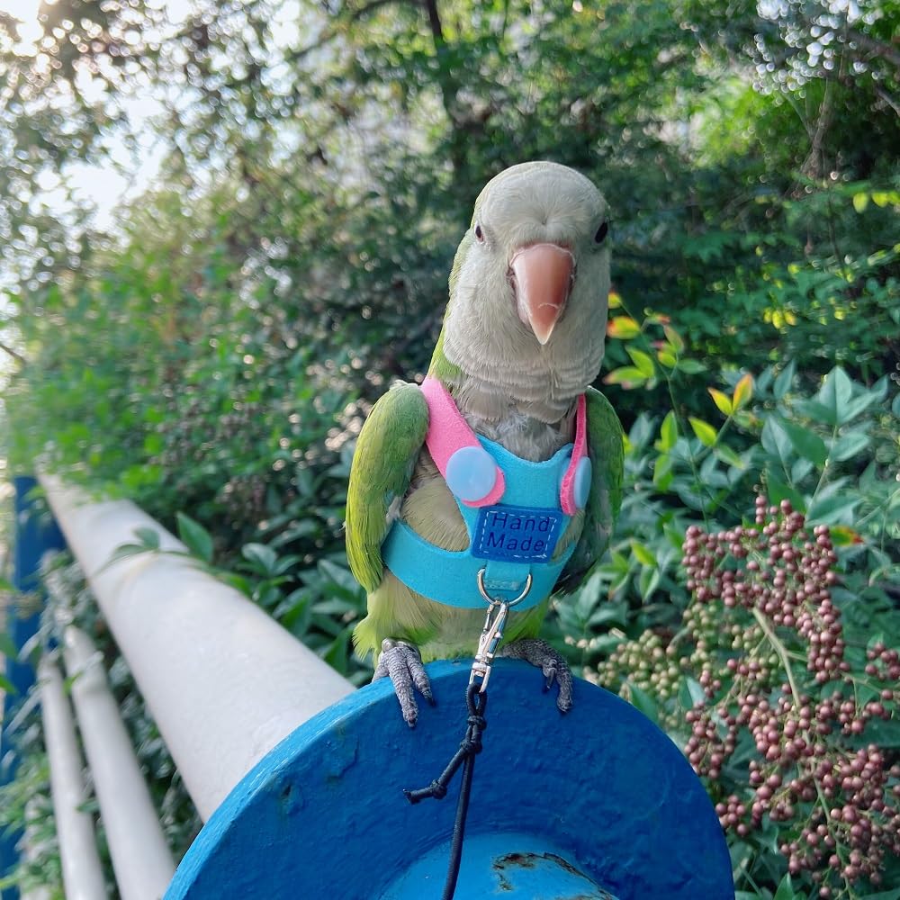 Bird Harness For Conure Small Bird Harness & Leash Set - 2M Parrot ...
