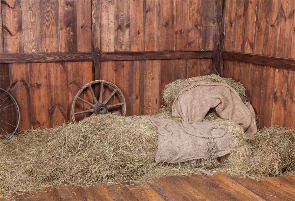 7x5ft Farm Backdrop Photography Background Old Barn Interior View ...