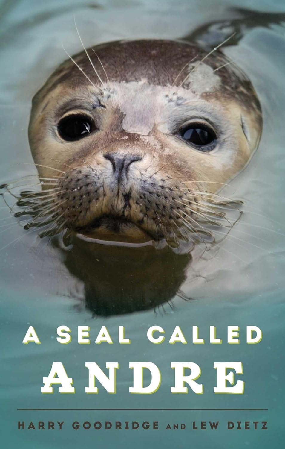 A Seal Called Andre: Goodridge, Harry, Dietz, Lew: 9781608932955 ...