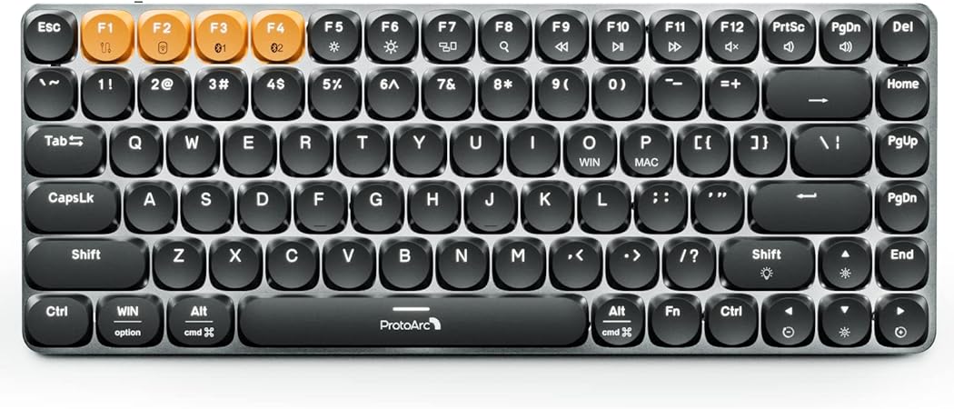 Amazon.com: ProtoArc Bluetooth Mechanical Keyboard, MECH K301 Office ...