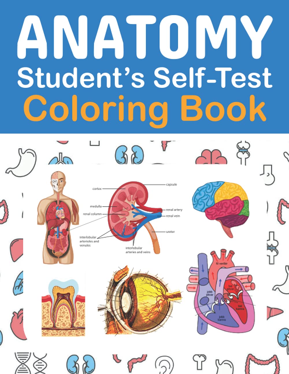 Anatomy Students Self Test Coloring Book Human Anatomy Students Self ...