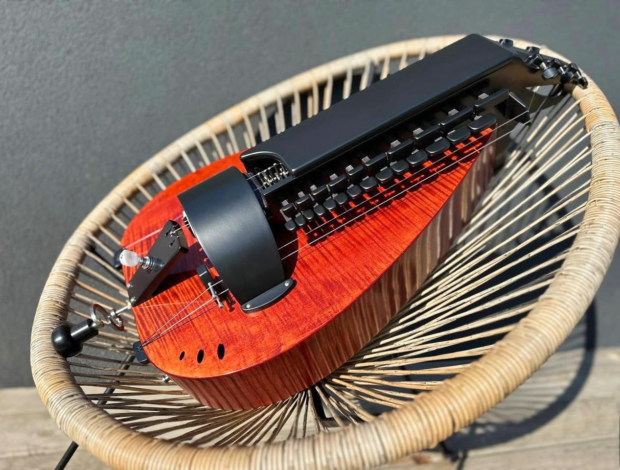 Amazon.com: Hurdy Gurdy Saga Model with Trompette/Gurdy with buzzing ...
