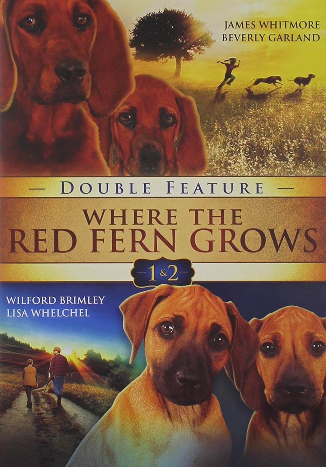 Amazon.com: Where the Red Fern Grows: Double Feature : Movies & TV