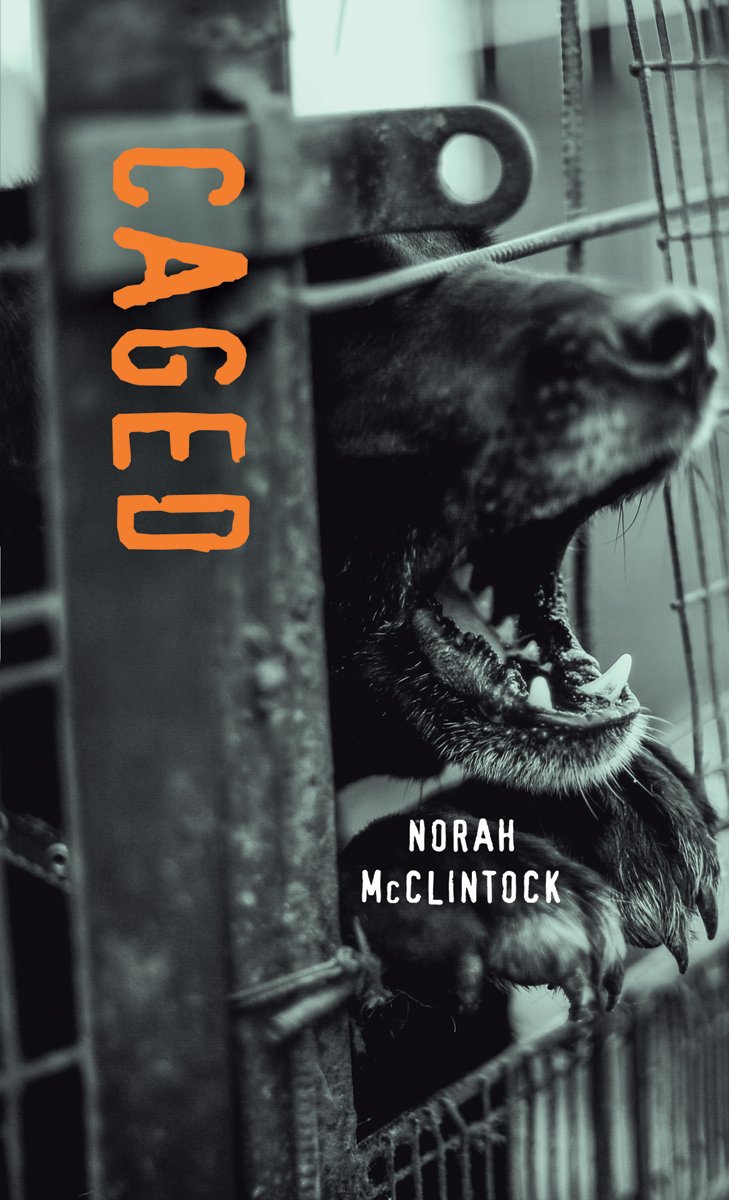Amazon.com: Caged (Orca Soundings): 9781459814998: McClintock, Norah: Books