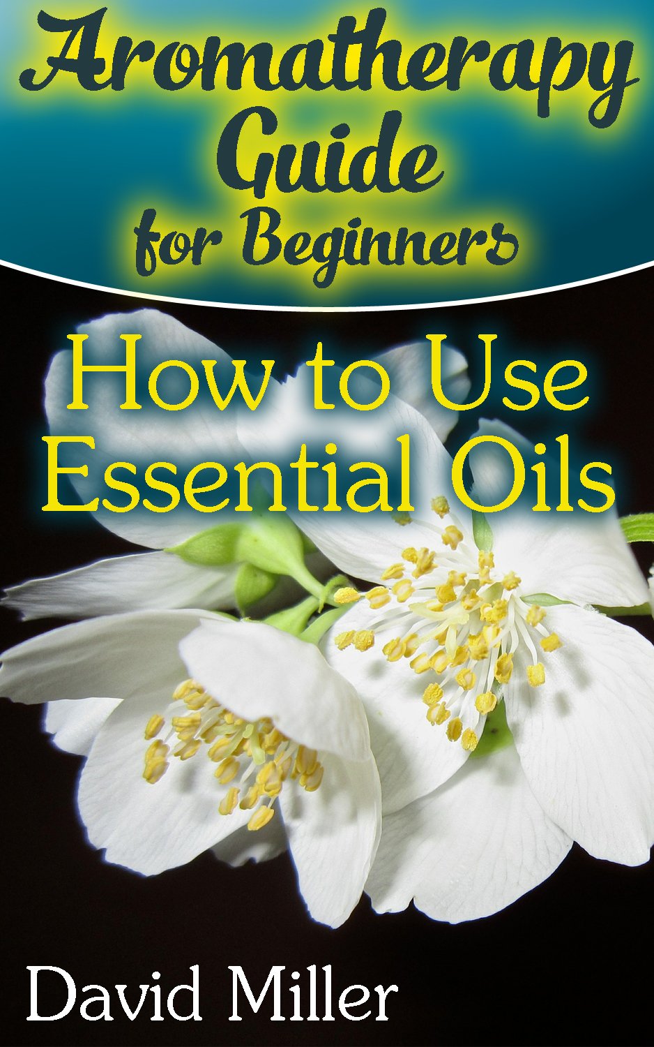 Amazon.com: Aromatherapy Guide for Beginners: How to Use Essential Oils ...