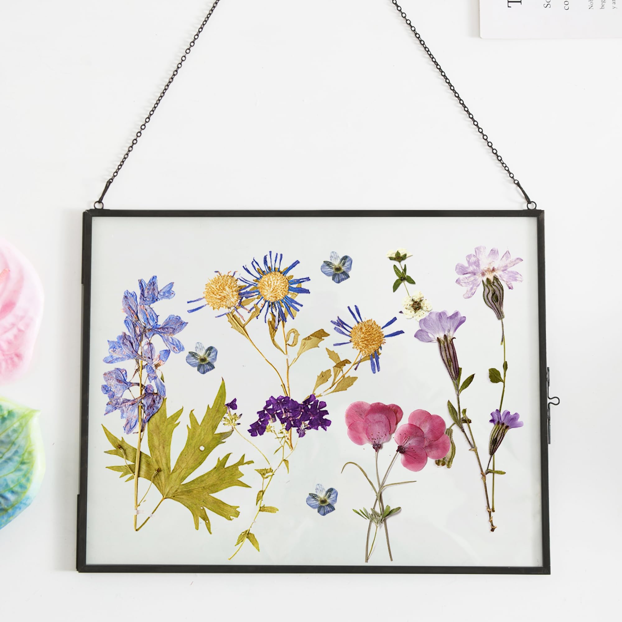 Amazon.com - Kendiis Glass Hanging Picture Frame,14x10.8 Gold Double ...