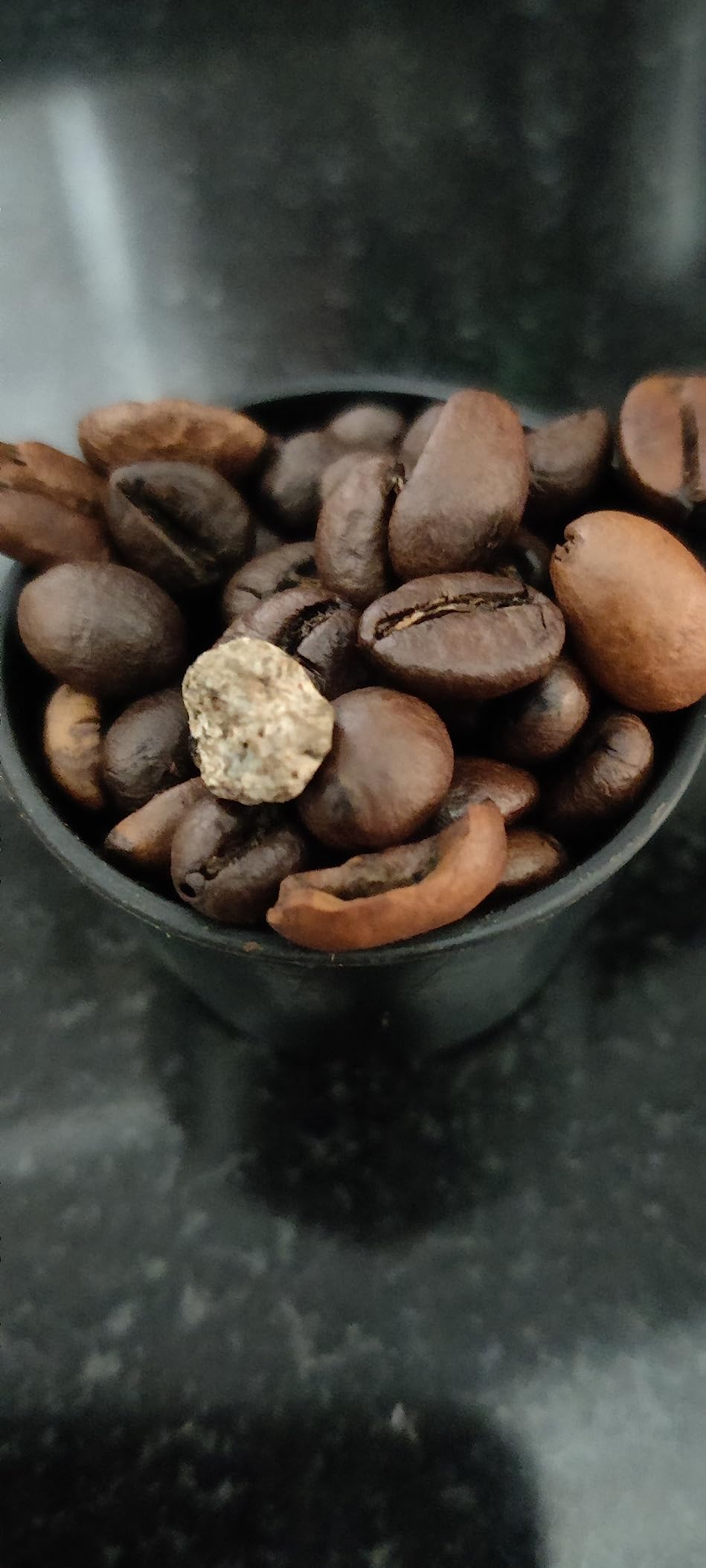 CCD Coffee Day Roasted Fresh Coffee Beans, Bag - 1.08 Kg : Amazon.in ...