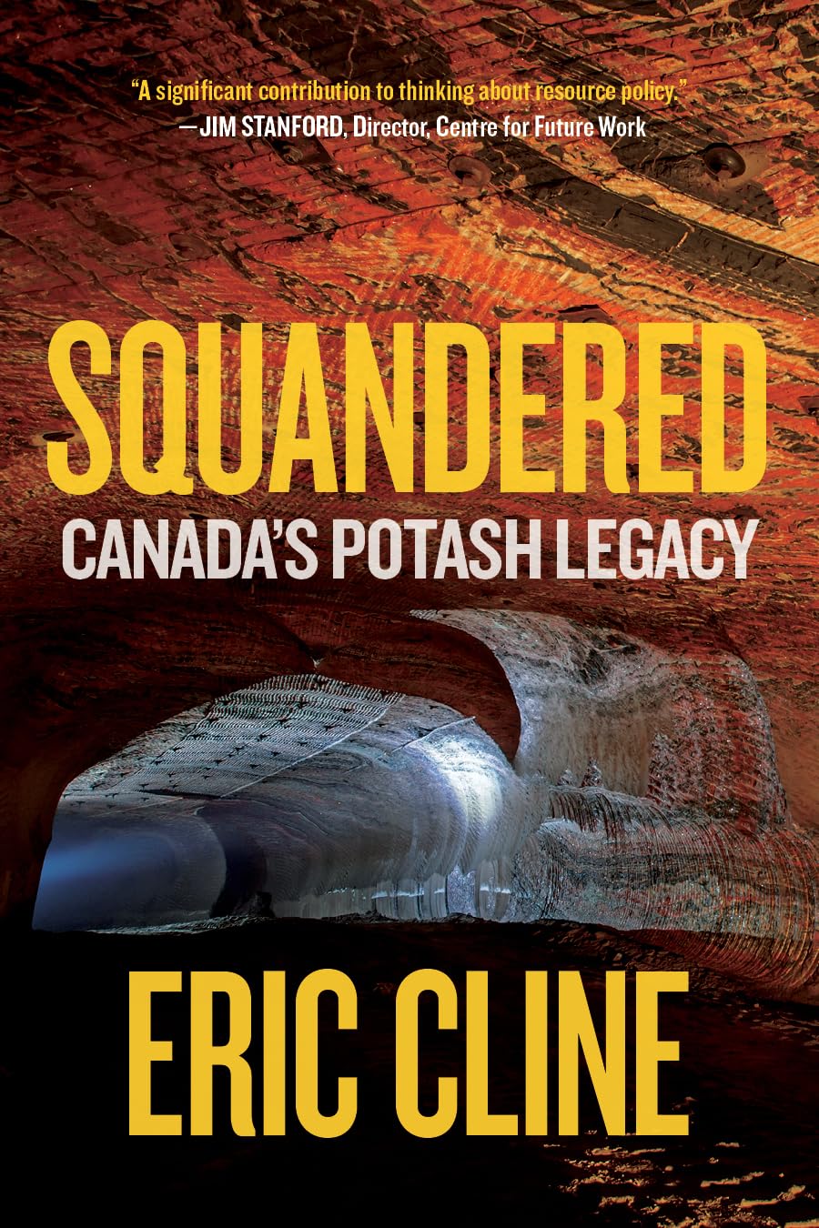 Squandered: Canada's Potash Legacy: Cline, Eric: 9780889779693: Books - Amazon.ca