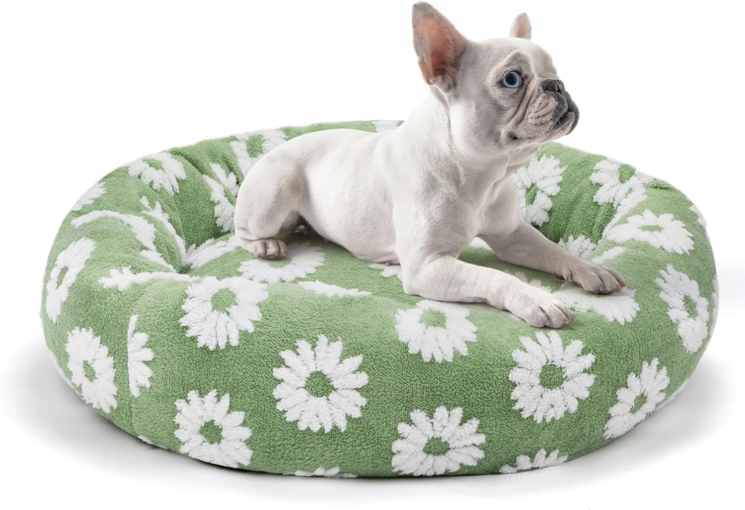 Amazon.com : Due Felice Donut Medium Dog Bed - 31 Inch Clam Shell Round ...