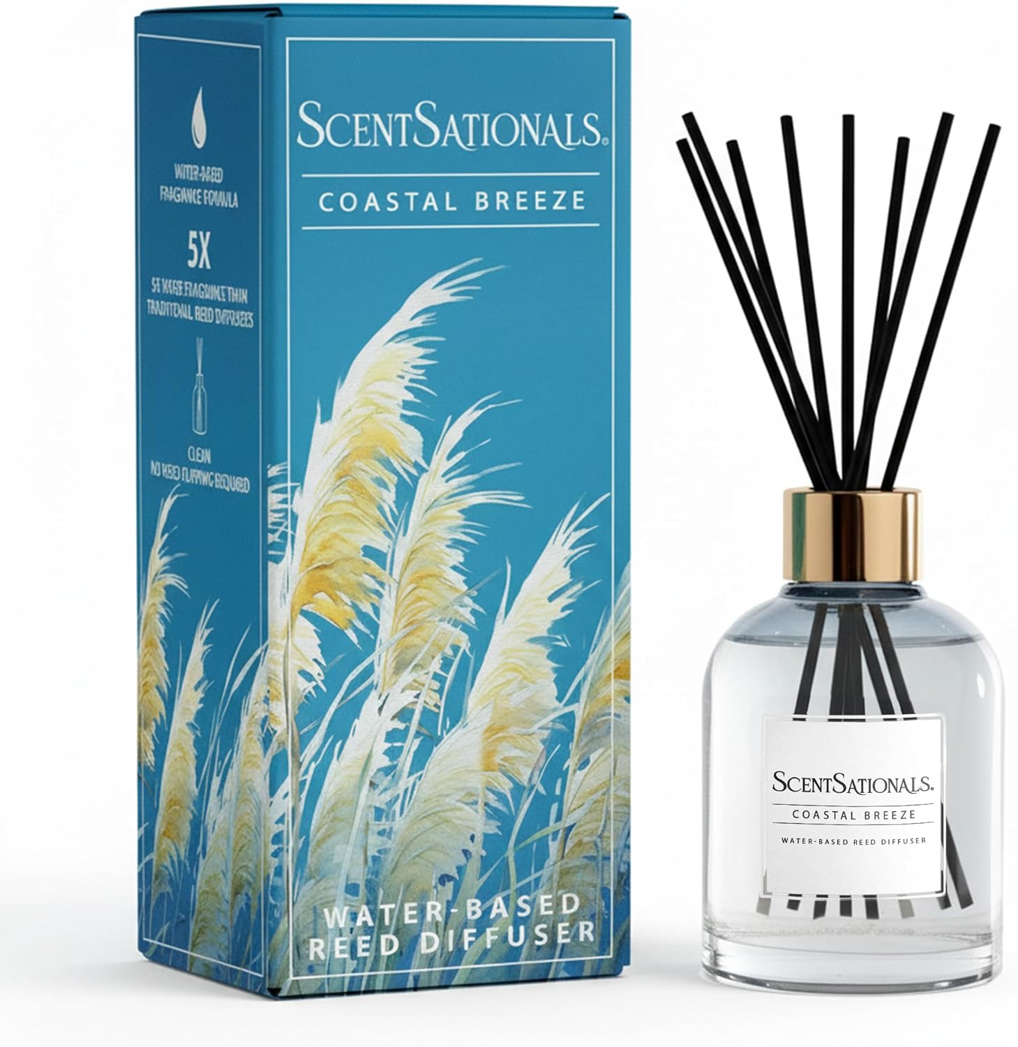 Amazon.com: ScentSationals Water-Based Reed Diffuser - Coastal Breeze ...