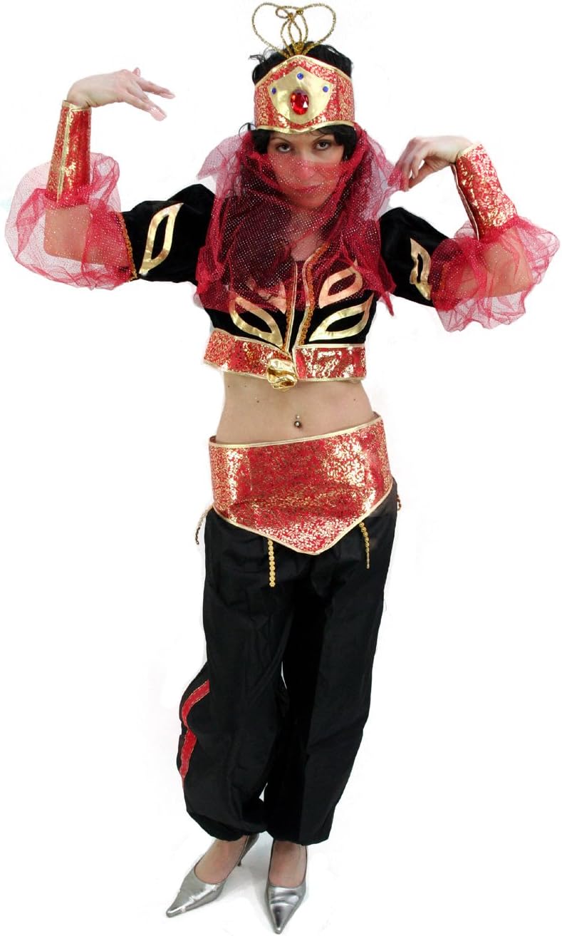 Party/Fancy Dress/Halloween Ladies/Women costume Sexy Harem Girl Belly ...