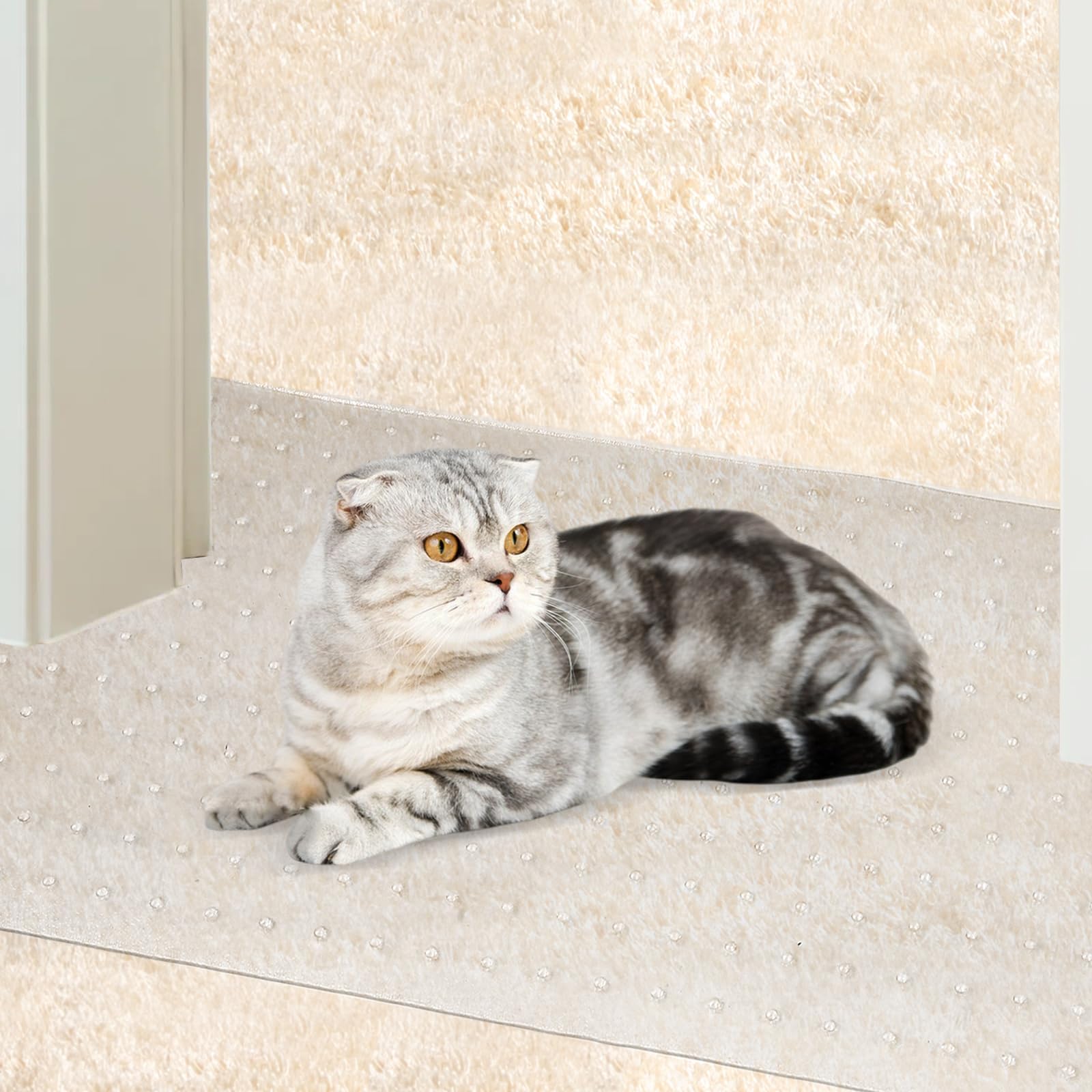 Amazon.com : Holismo Carpet Protector for Pets, 3.6FT Cat Carpet ...