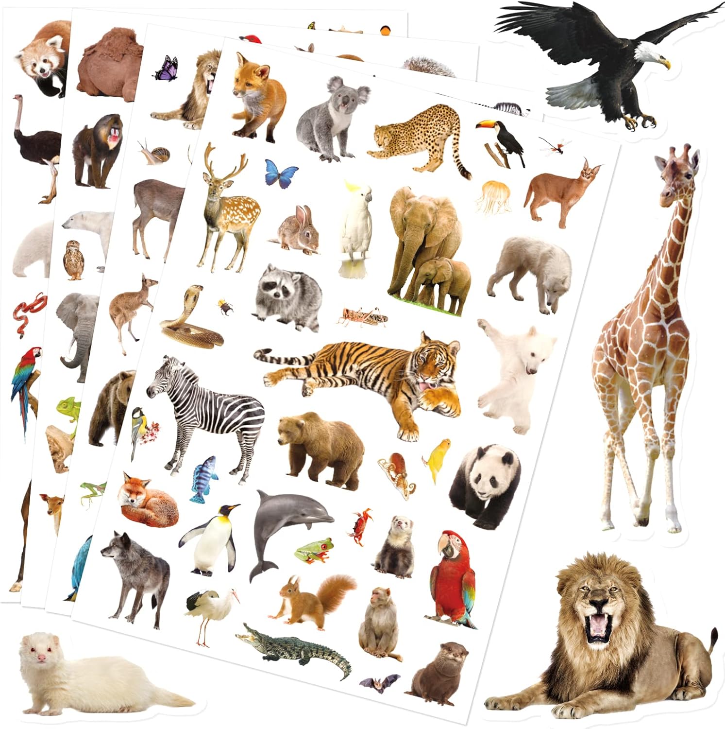 Amazon.com: Jungle Safari Animals Stickers Party Supplies 750 Counts ...