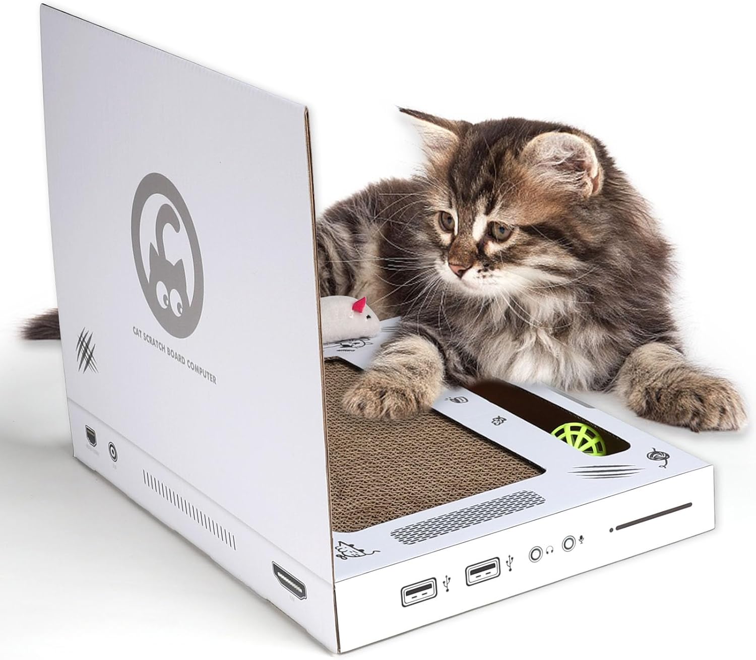 Amazon.com : Valley Of Wellness Interactive Cat Laptop Toy - Durable ...