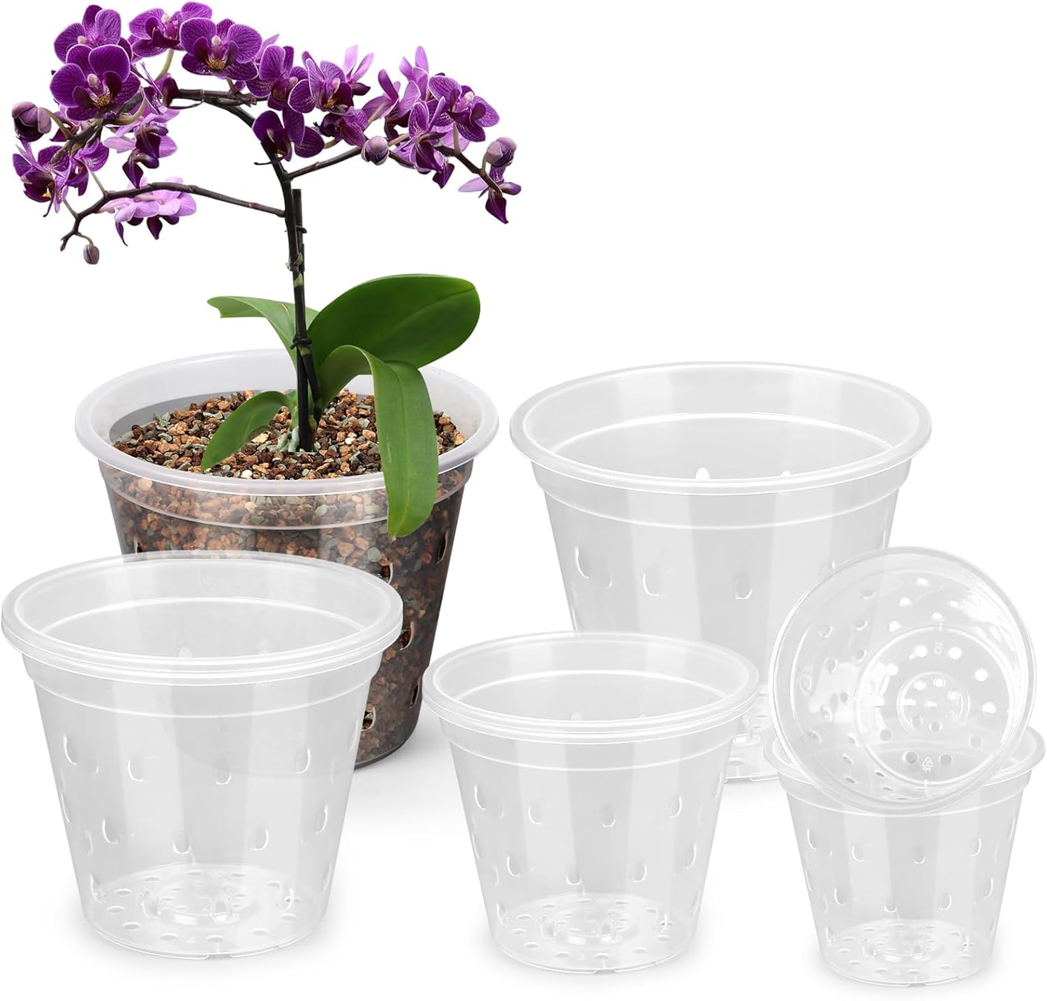 Amazon.com: FUIJOL Orchid Pots with Holes for Repotting 8 Pack, 4 5 6 7 ...