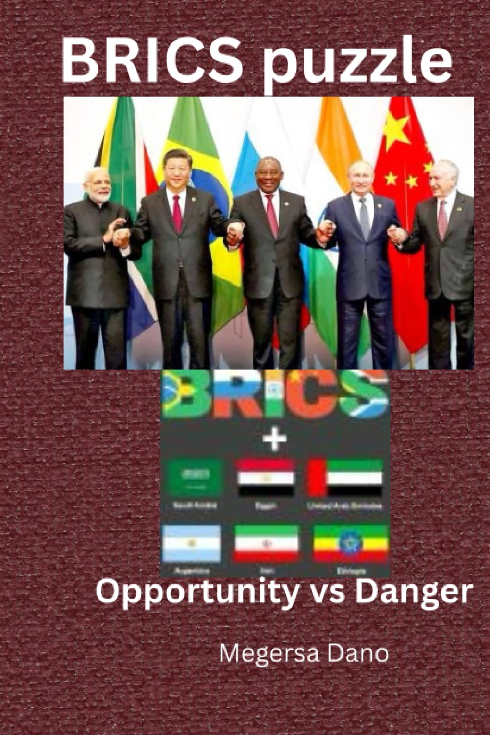 BRICS Puzzle: Opportunity vs Danger: Dano, Megersa: 9798859303168 ...