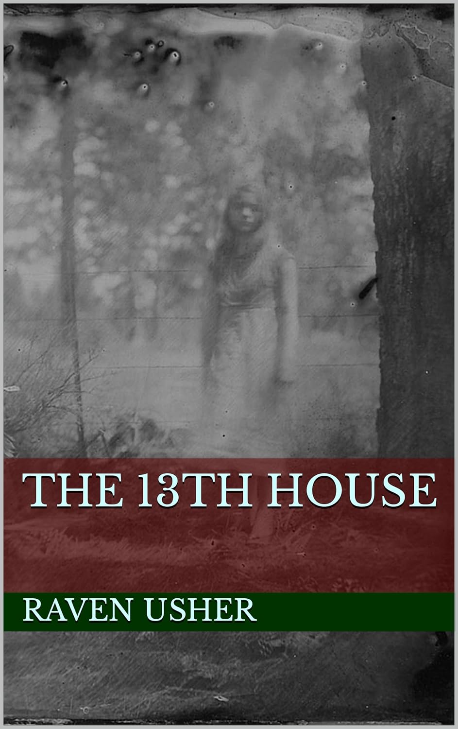 The 13th House - Kindle edition by Usher, Raven. Literature & Fiction ...