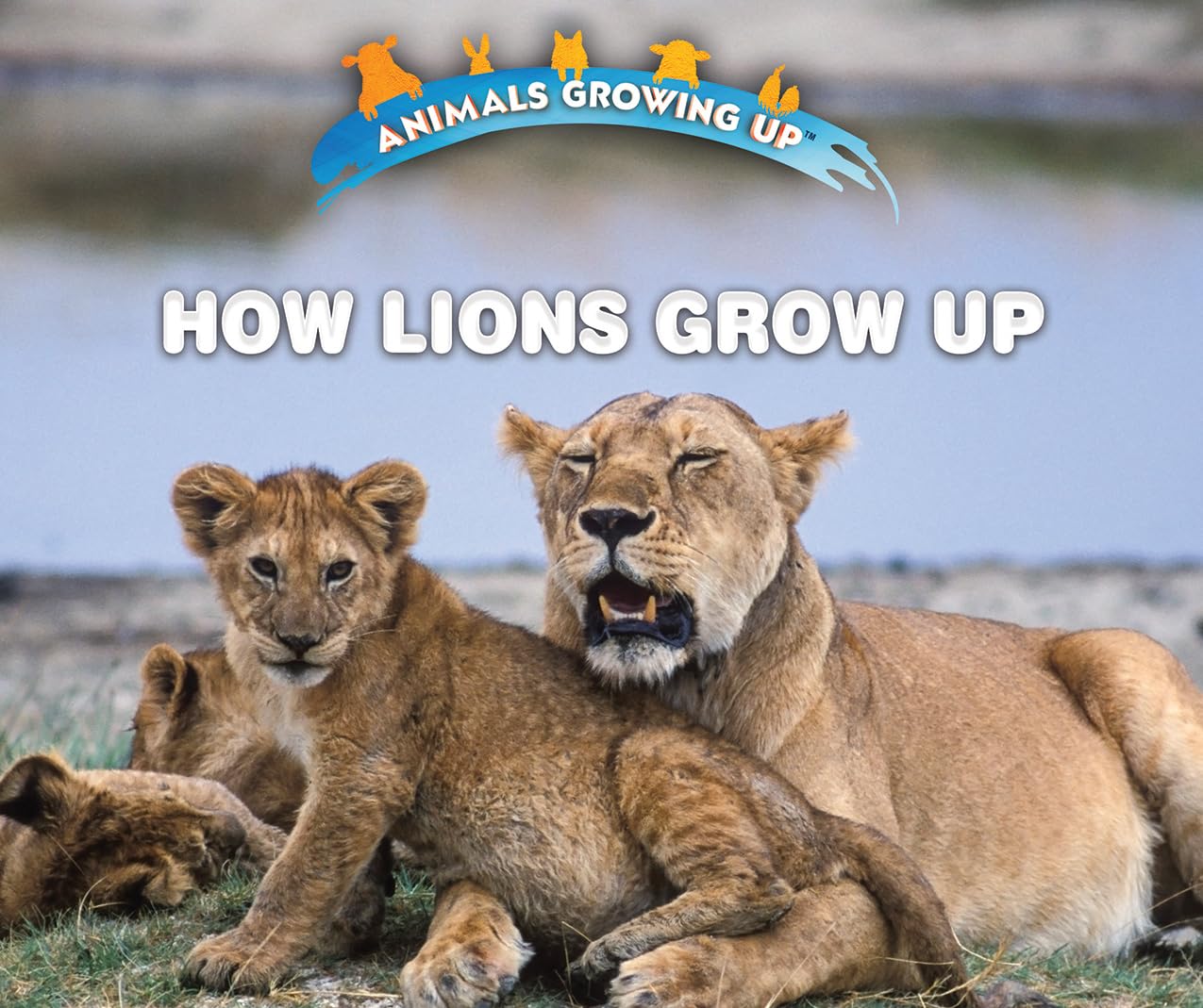 Buy How Lions Grow Up (Animals Growing Up) Book Online at Low Prices in ...