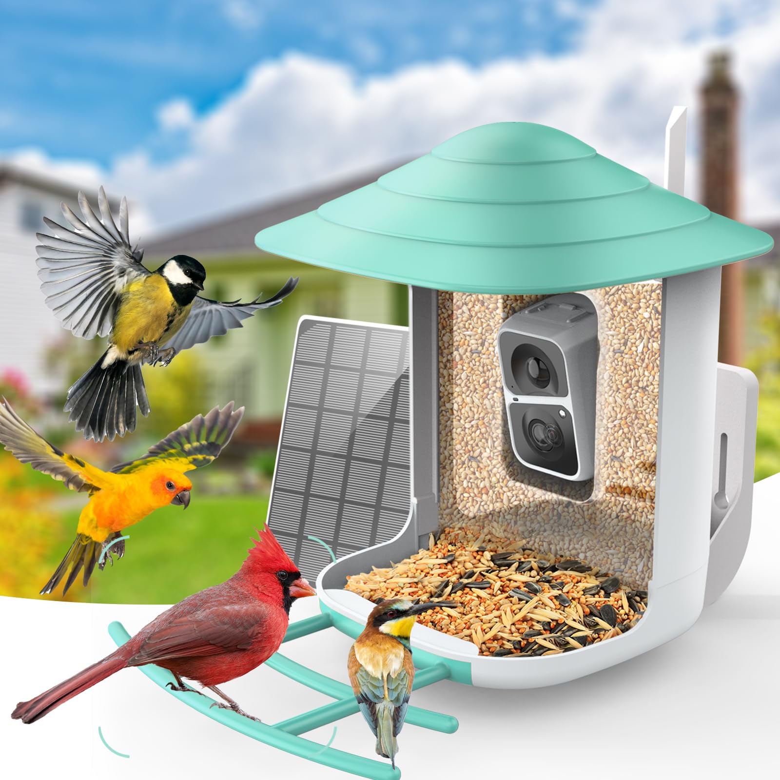 Snapklik.com : DELOTA Smart Bird Feeder