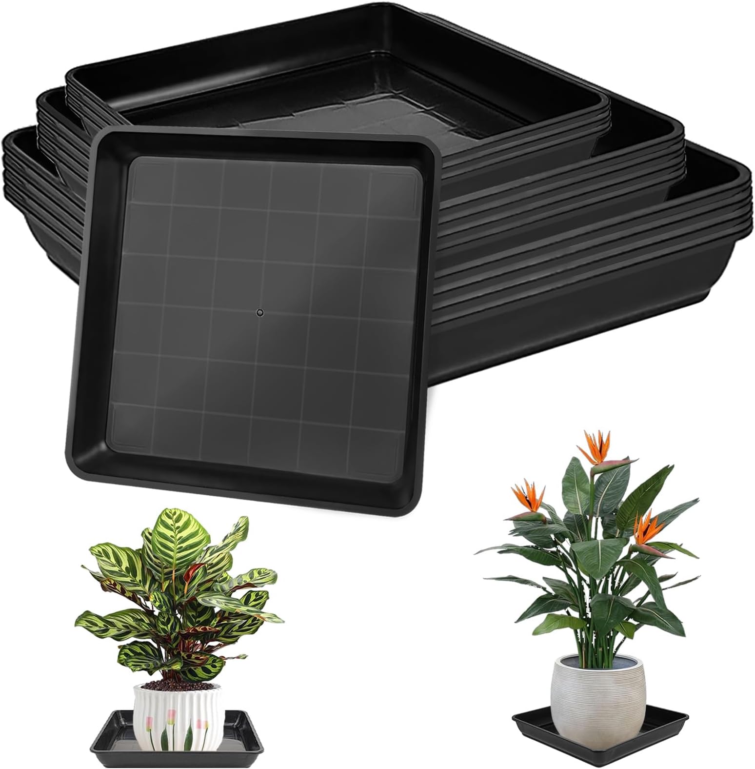 Amazon.com : DANHMAO Square Plant Saucer 7.6 9 10 Inch,12 Pack Square ...