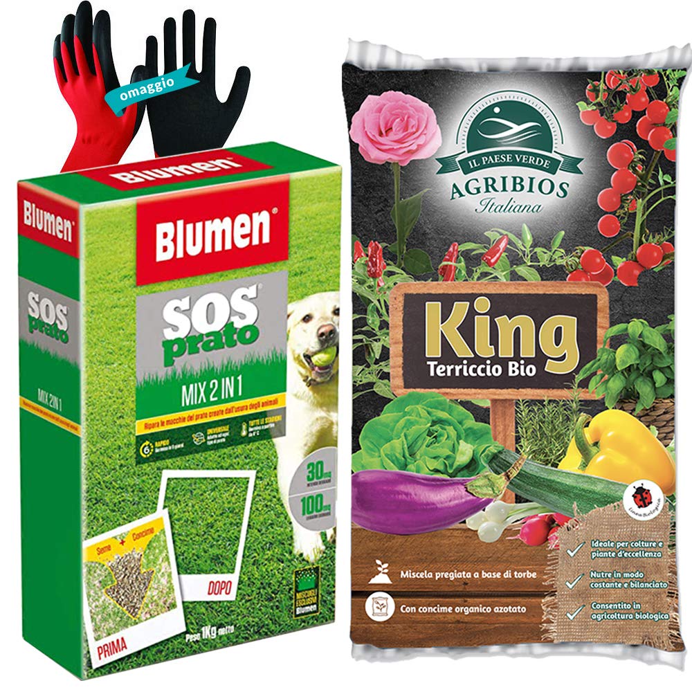 Buy Mike Seed SOS Lawn 2 in 1 Rapid with NPK Fertilizer+Universal Soil ...